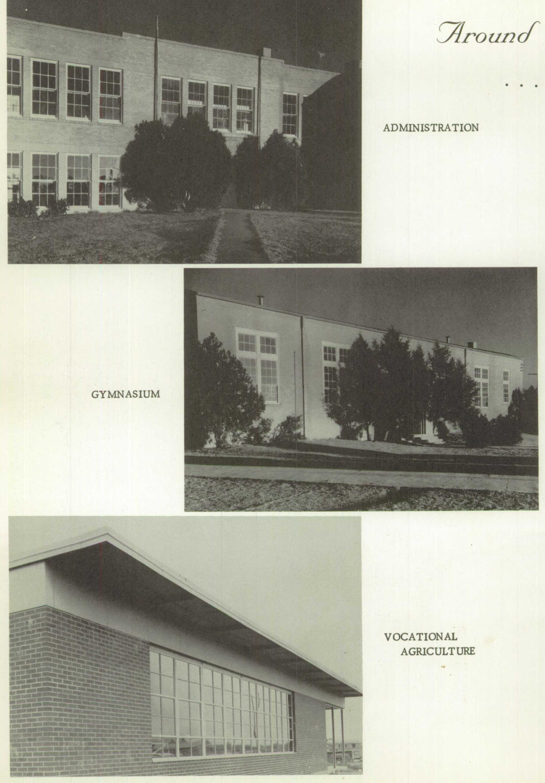 School Yearbooks from Perrin-Whitt, Jack County Texas